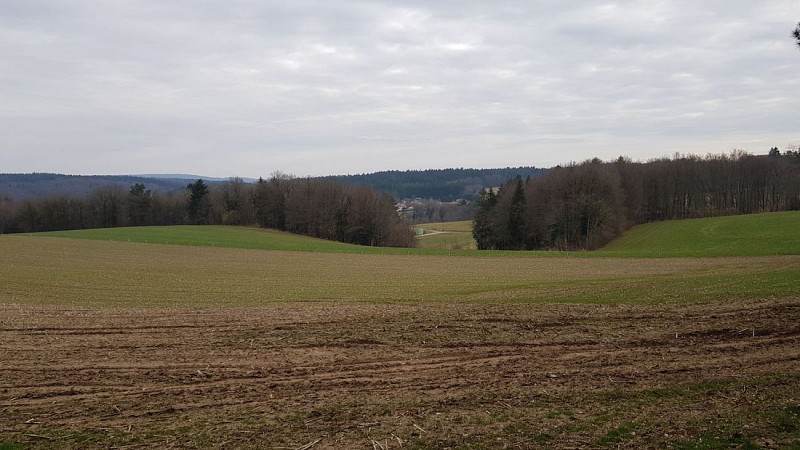 Points de vues et panorama - Point de vue sur Les Trayes - Raon-aux-bois