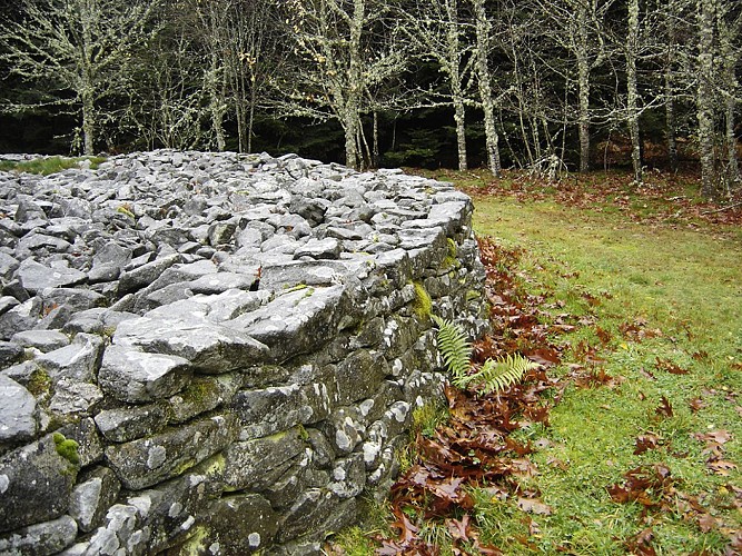 Monuments et architecture - PATRIMOINE - Tumulus du Puy de Plane - La ...