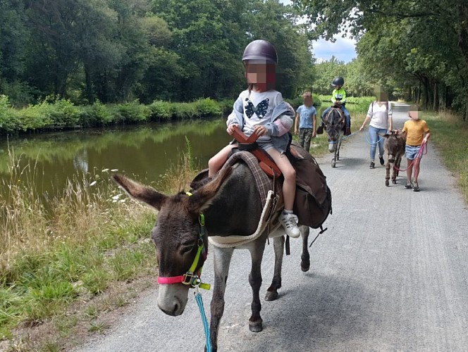 Autres - ACTIVITÉS AVEC LES ÂNES - La chevallerais