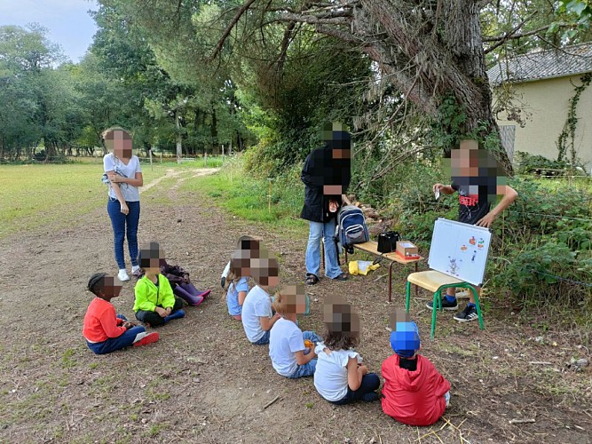 Autres - ACTIVITÉS AVEC LES ÂNES - La chevallerais