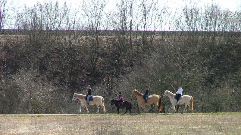 Autres - Corral Ranch - Roye