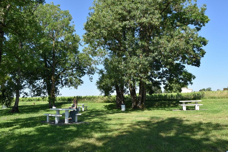 Aires de pique-nique - Aire de pique-nique de Pugnac - Pugnac
