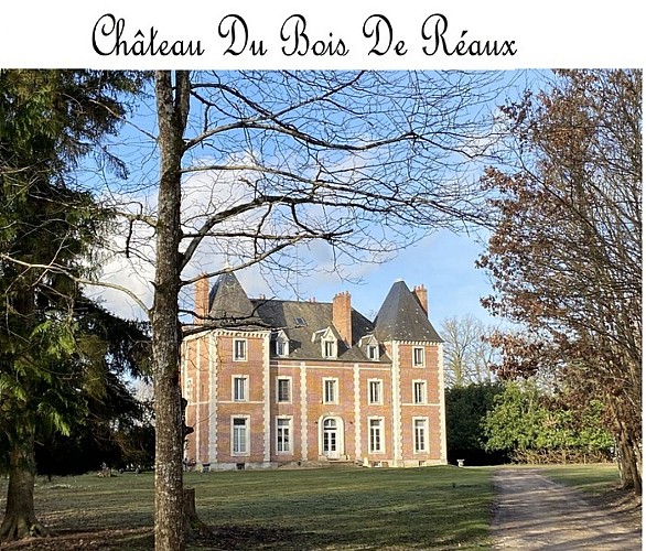 Divers - Le Château du bois de Réaux - Neuvy-sur-loire