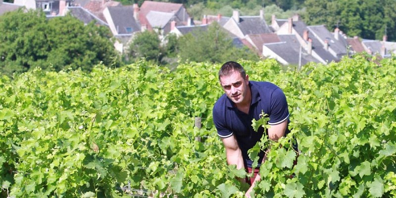 Alcool - Domaine Jean-Pierre Bailly - Tracy-sur-loire