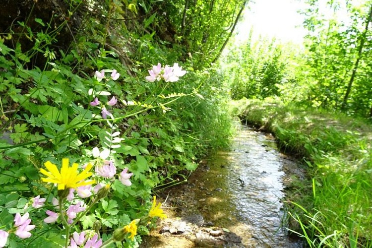 Point d'intérêt naturel - ASA du Béal Neuf - Pelvoux