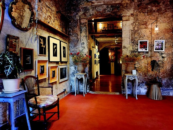 Activités culturelles - Galerie des Augustines - Marseille--2e ...