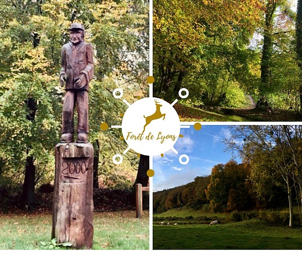 Point d'intérêt naturel - Forêt domaniale de Lyons-la-Forêt - Lyons-la ...