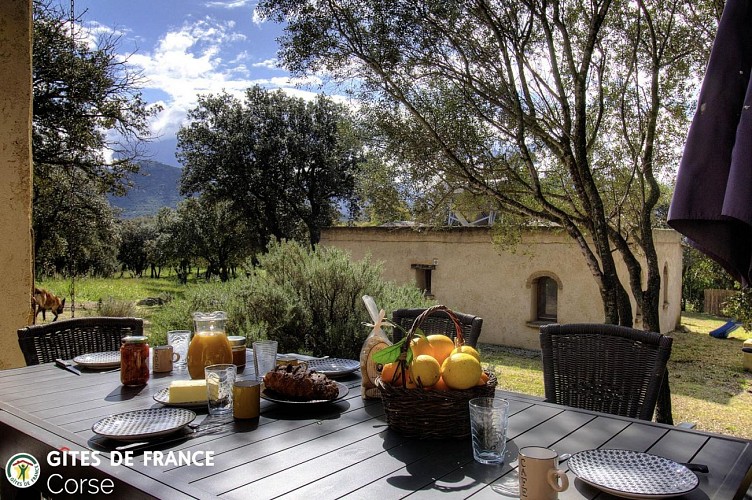 Chambres d'hôtes - ASTRATELLA 2 - Lumio