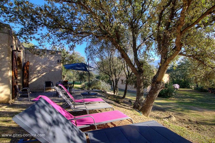 Chambres d'hôtes - ASTRATELLA 2 - Lumio