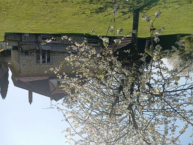 Point d'intérêt - Villa Beauregard - La roche-posay