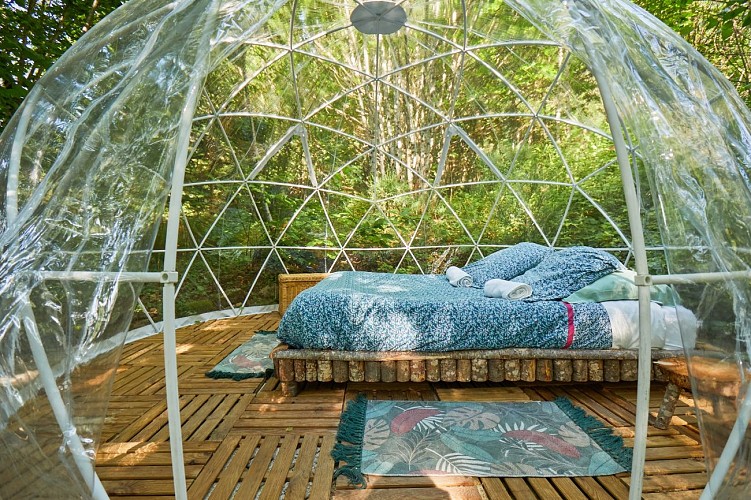 Chambres d'hôtes - La Bulle du Bois de St Auvent - La geneytouse