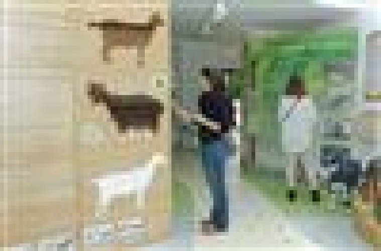 Farm shop - Boutique de la Maison des Fromages de Chèvres - Celles-sur ...