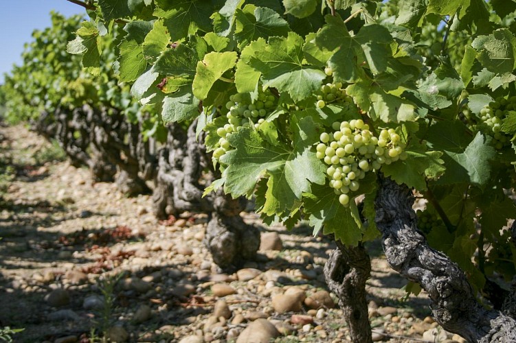 Activités sportives - Sentier d'interprétation "le savoir faire ...