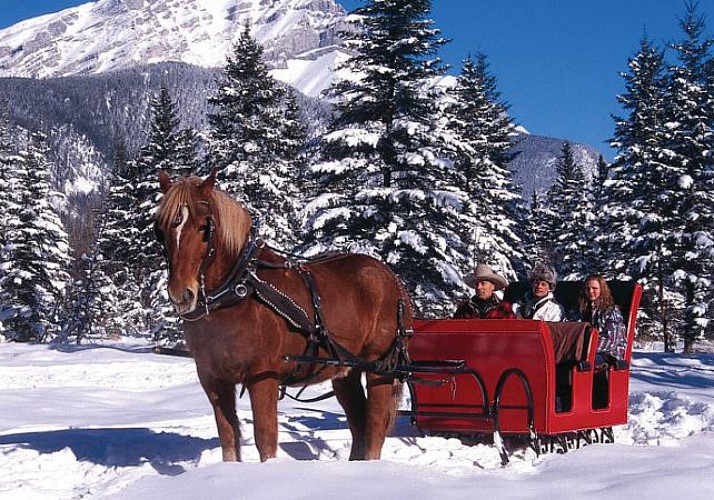 Autres - Promenade romantique en traineau à cheval dans les Rocheuses ...