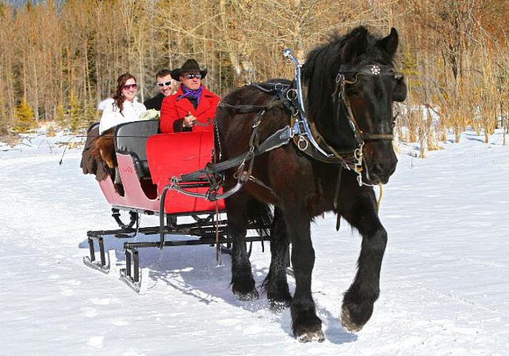 Autres - Promenade romantique en traineau à cheval dans les Rocheuses ...