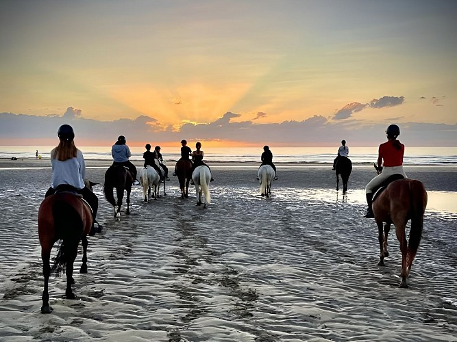 Others - Balade à cheval sur la plage de Blonville-sur-Mer - Blonville ...