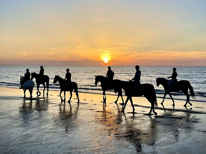 Others - Balade à cheval sur la plage de Blonville-sur-Mer - Blonville ...