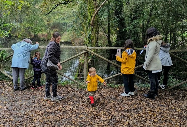 Others - SORTIE EN FORÊT - Paimboeuf