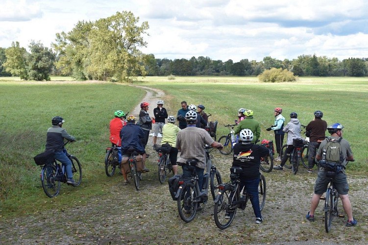 Cultural events - Guided bike tour of the Rhine jungle - Rhinau