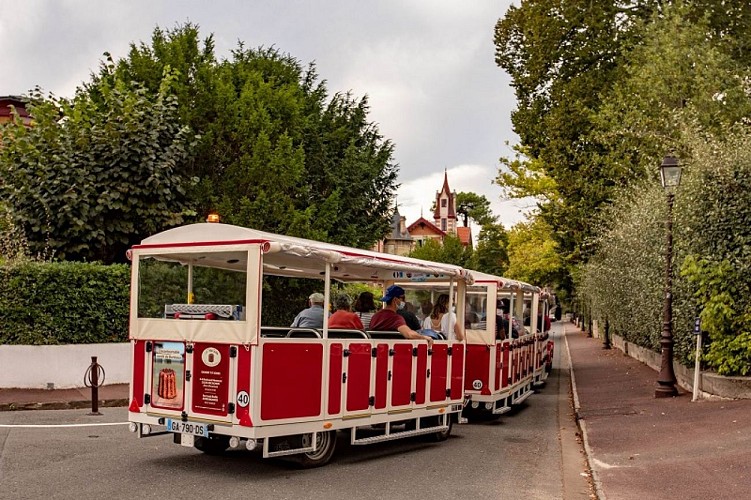 Cultural events - Guided Tour: The Little Train / The Panoramic - Arcachon