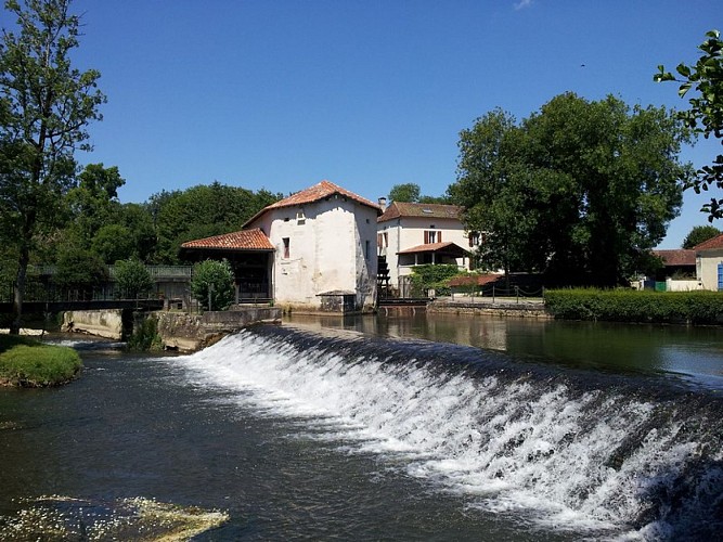 Autres - Les Ateliers Nature au Moulin de la Dronne - Montagrier
