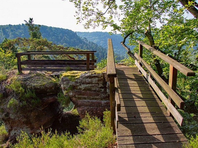 Point d'intérêt naturel - Rocher du Saut du Chien - Neuwiller-les-saverne