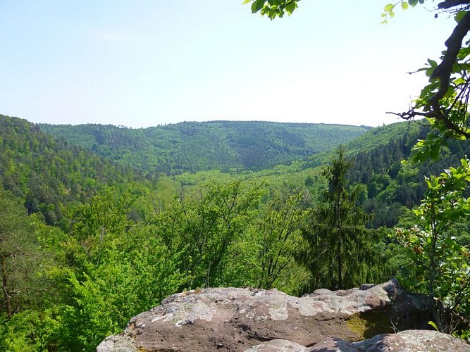 Point d'intérêt naturel - Rocher du Saut du Chien - Neuwiller-les-saverne