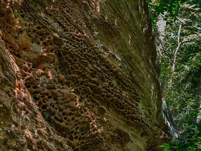 Point d'intérêt naturel - Rocher du Saut du Chien - Neuwiller-les-saverne